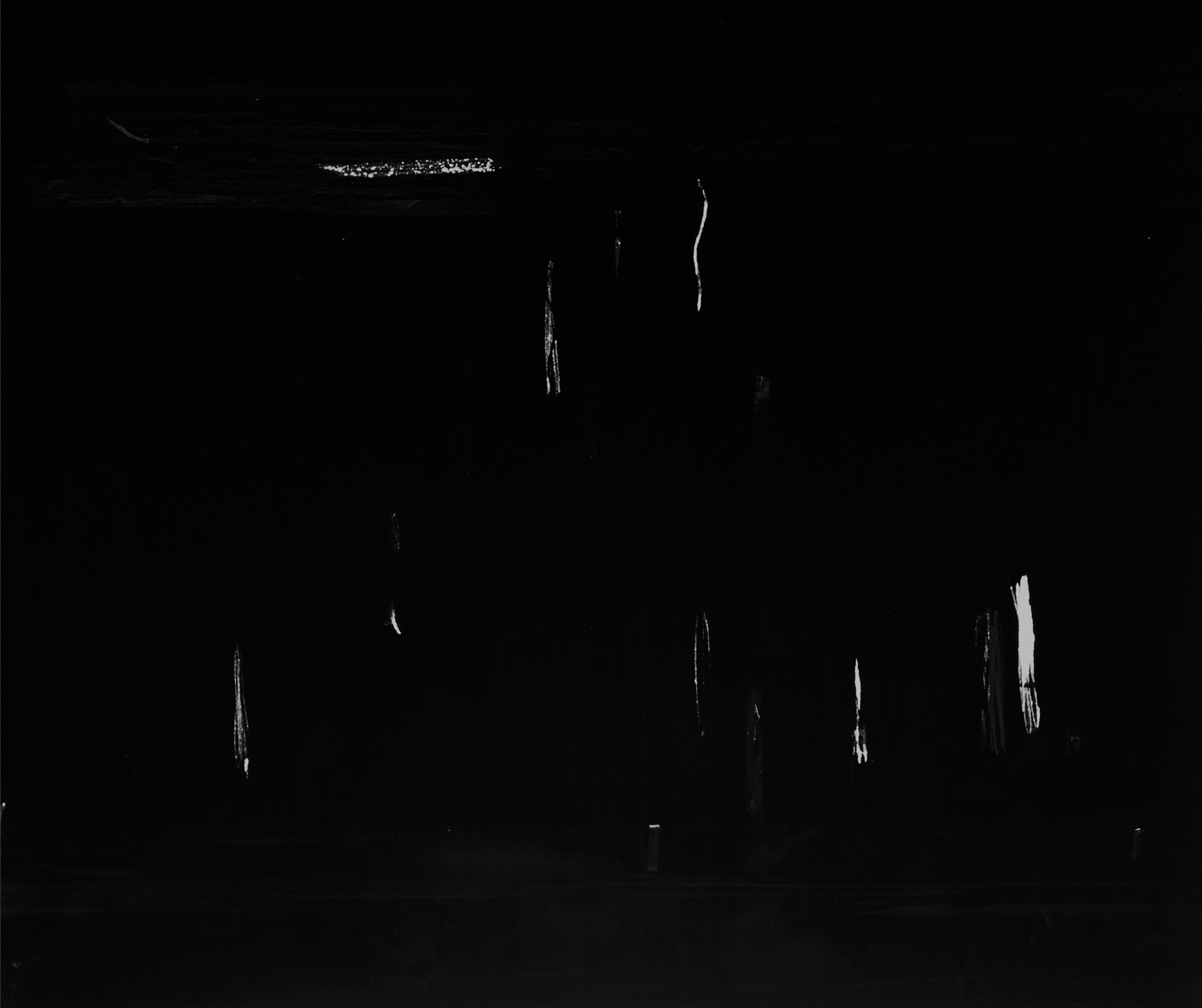 Las Imágenes Negras - Iliana Ortega