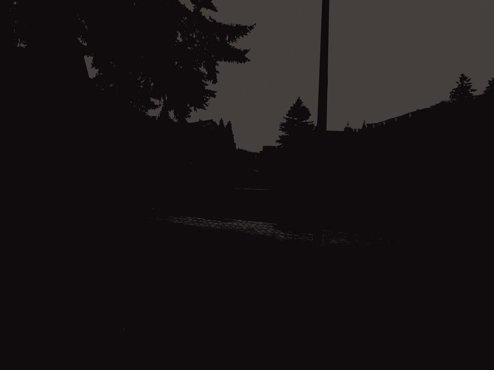 Las Imágenes Negras - Iliana Ortega