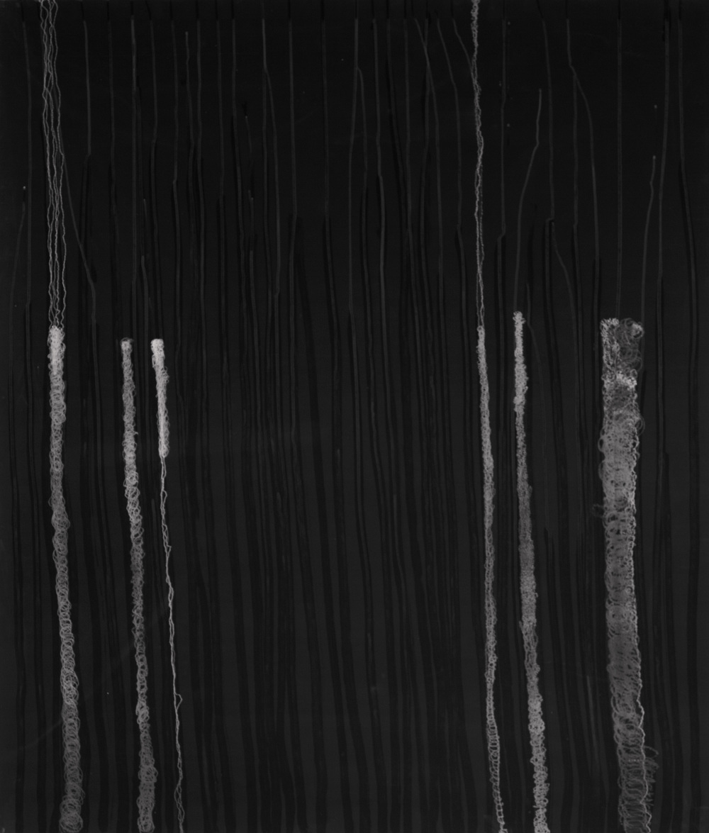 Las Imágenes Negras - Iliana Ortega