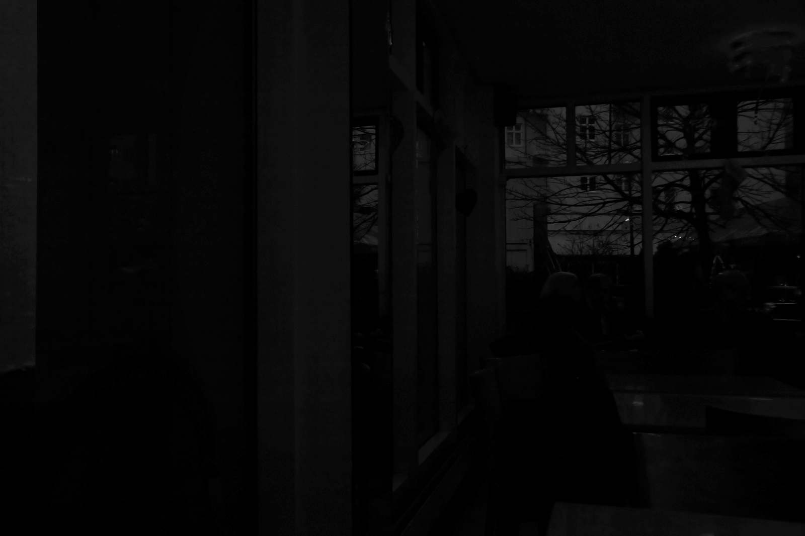 Las Imágenes Negras - Iliana Ortega