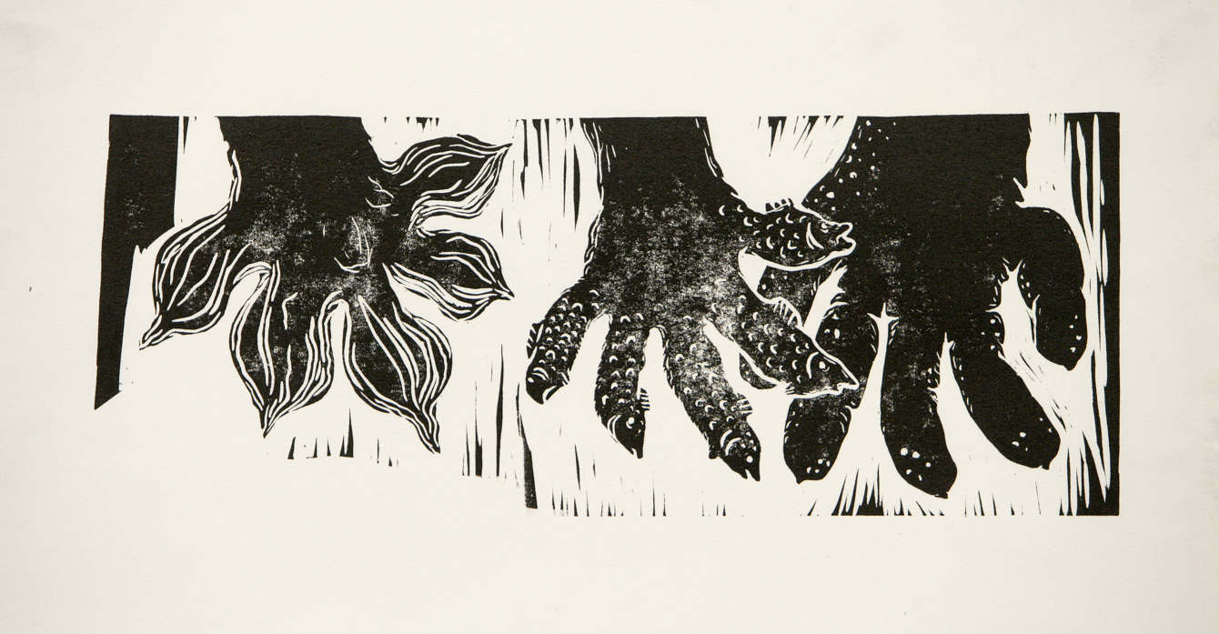 Linocuts and Tetra-Pak Prints - Helen Woolston