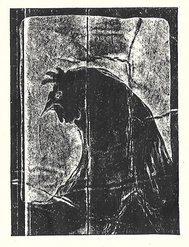 Linocuts and Tetra-Pak Prints - Helen Woolston