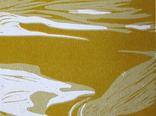 Linocuts and Tetra-Pak Prints - Helen Woolston