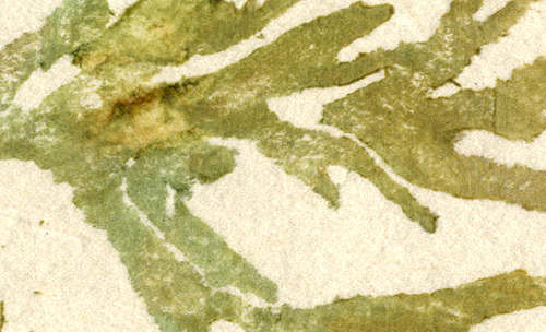 Seaweed: Japanese Watercolour Woodcut - Helen Woolston