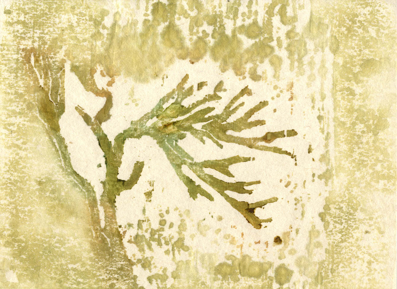 Seaweed: Japanese Watercolour Woodcut - Helen Woolston