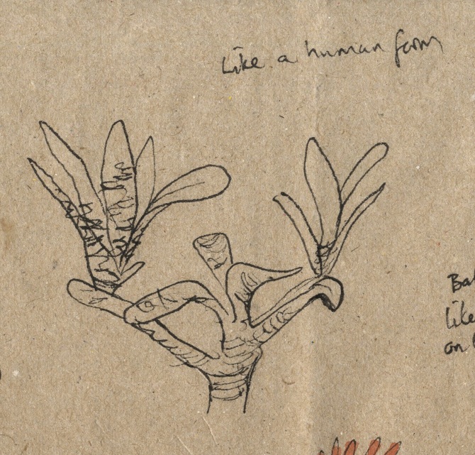 Sketches and Development Work - Helen Woolston