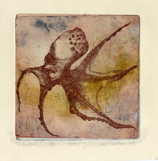 Confusion: Octopus Etching - Helen Woolston