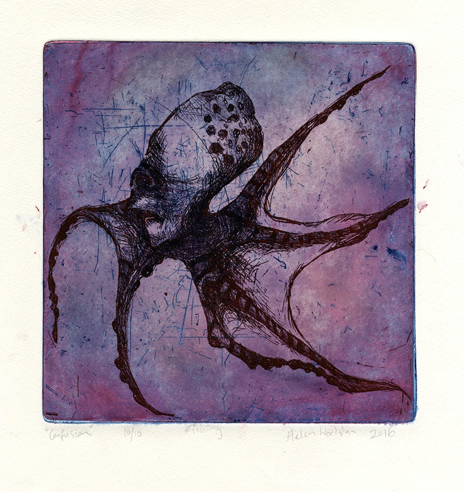Confusion: Octopus Etching - Helen Woolston