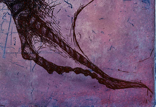 Confusion: Octopus Etching - Helen Woolston