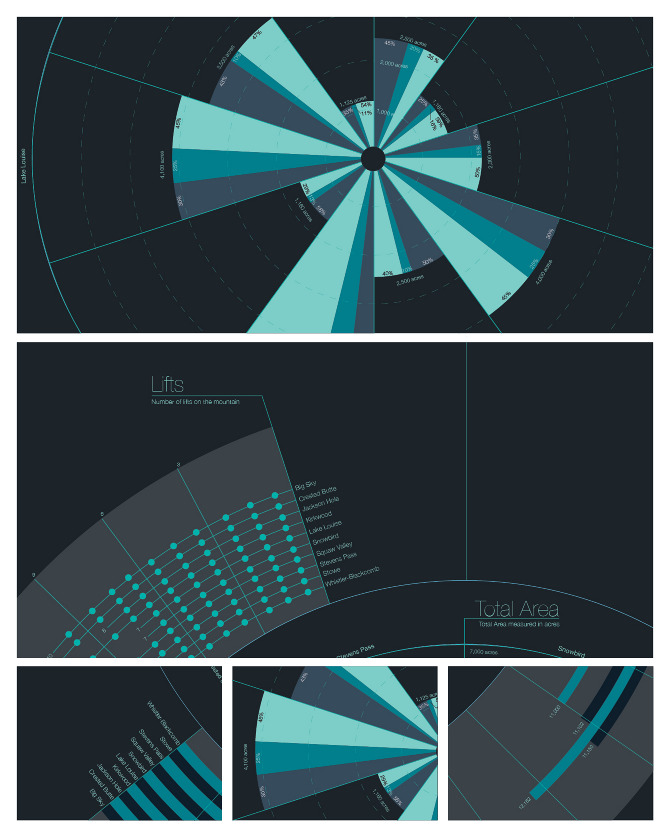INFORMATION DESIGN - Bethany Sandberg