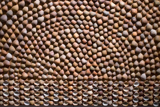 Shell Carpet - WE MAKE CARPETS