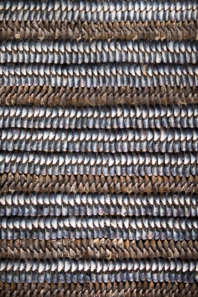 Mussel Carpet - WE MAKE CARPETS