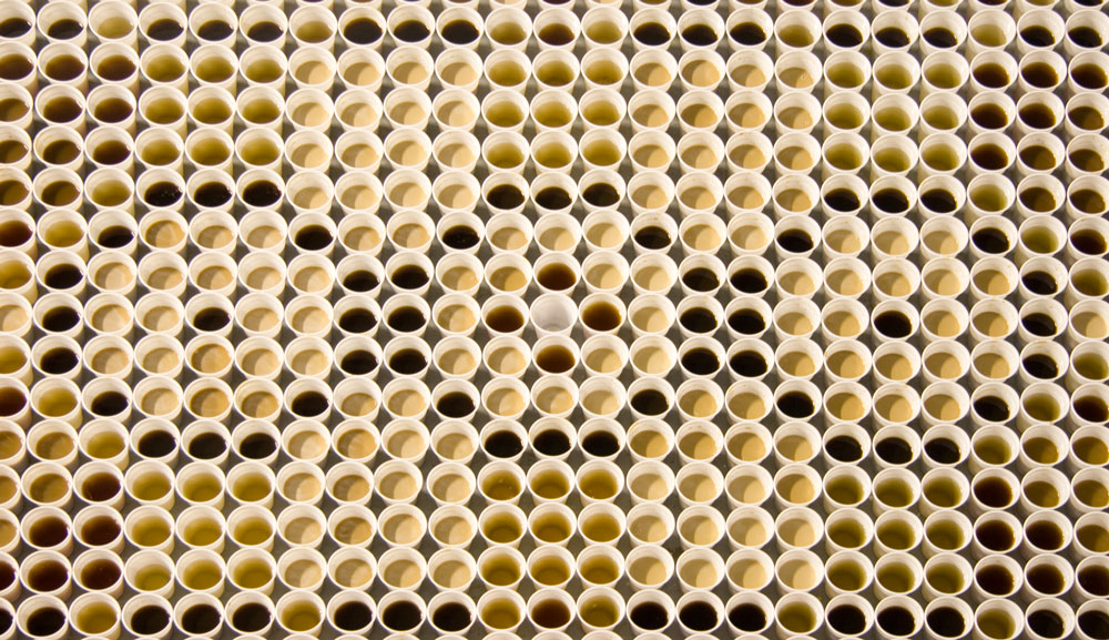 Coffee Carpet - WE MAKE CARPETS