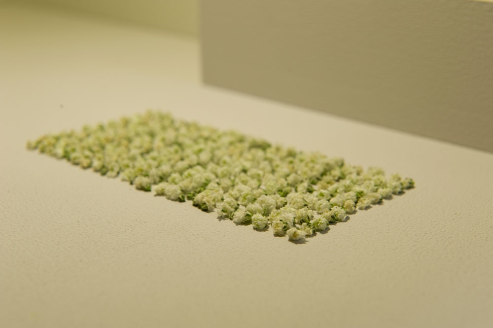 Flower Carpet - WE MAKE CARPETS