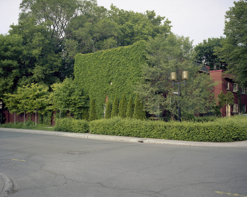 Recent [2017 - ] - Peter Currie