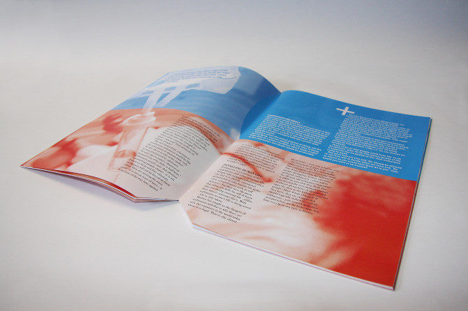 Euthanasia Poster & Booklet - Amelia Stewart