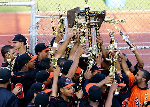 GW Baseball Fundraising