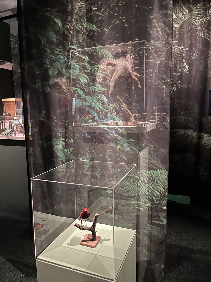 Vogels van God - Marieke Meijer Art & Exhibitions