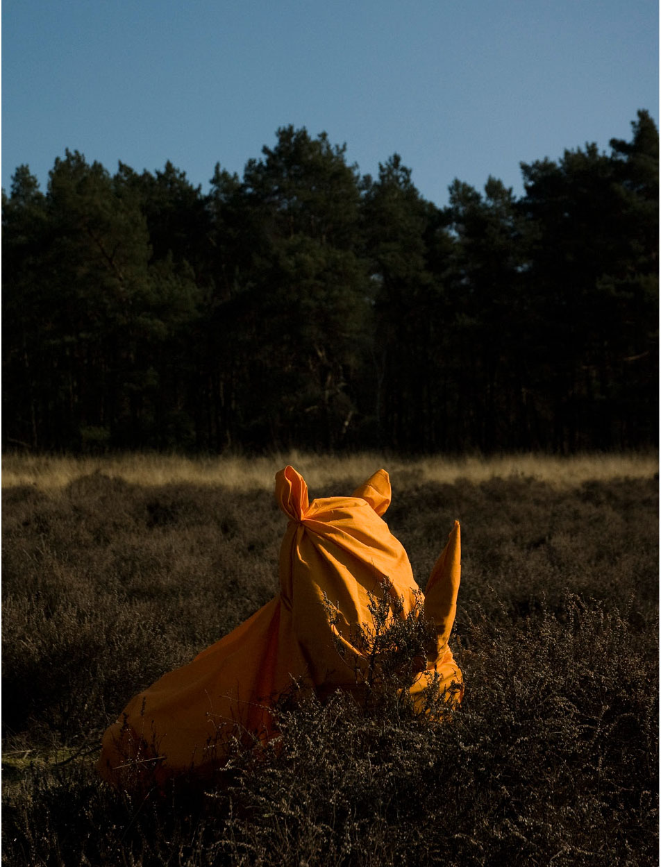 Wildlife Spotting - Marieke Meijer Art & Exhibitions