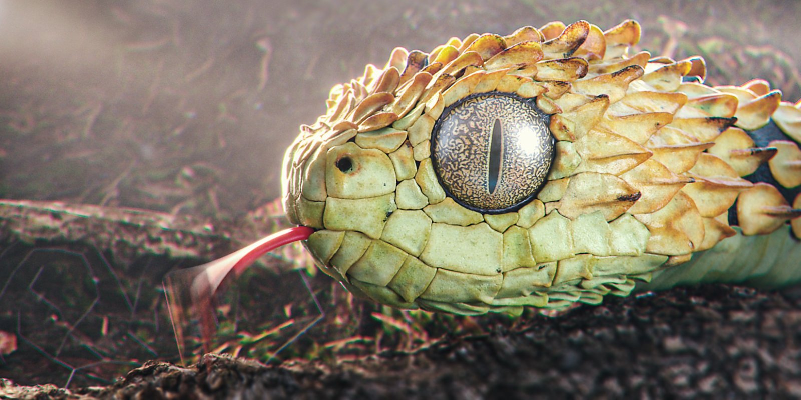 Autumn Adder - Austin Peppel Art and Design