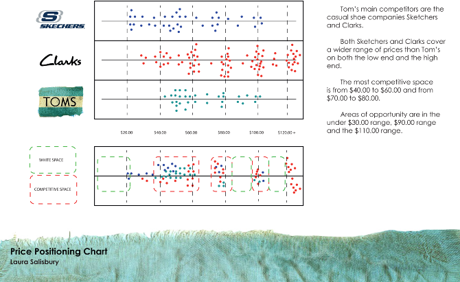 Tom's Shoes: Strategy & Product Innovation - Laura Salisbury