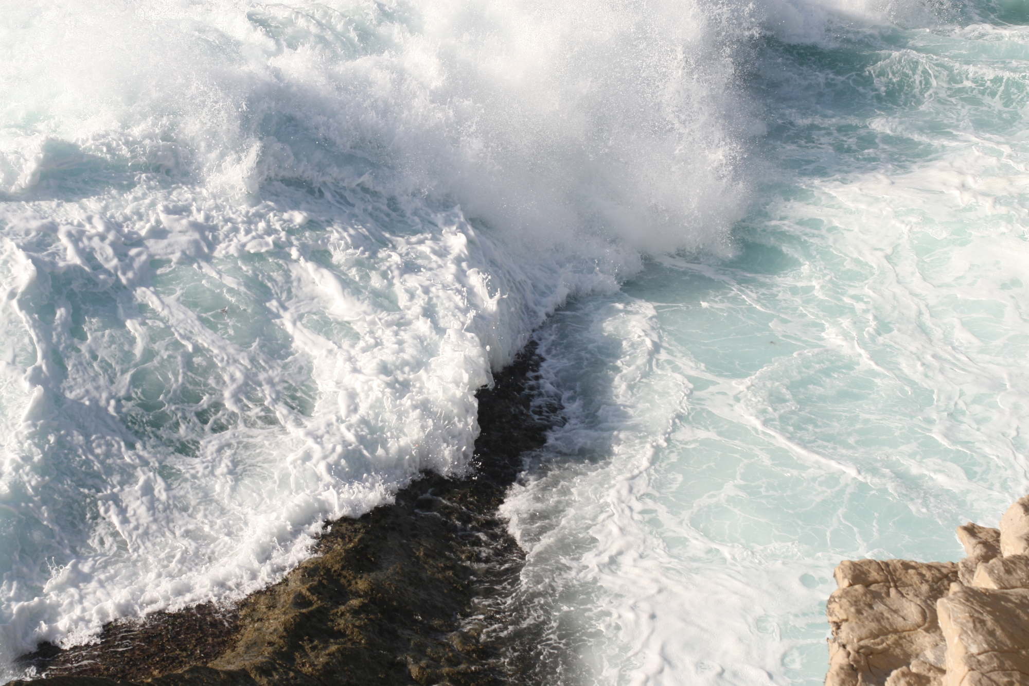 VINCENT JOSEPH MONASTERO