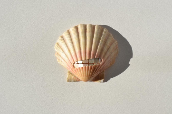 pearly whites - benediktfischer.at