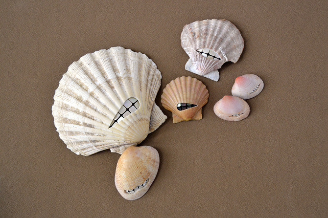 pearly whites - benediktfischer.at