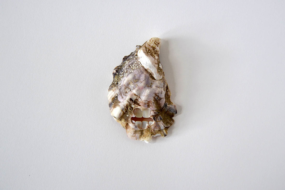 pearly whites - benediktfischer.at