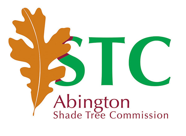 Abington Shade Tree Commission logo - Andrew Leach Projects