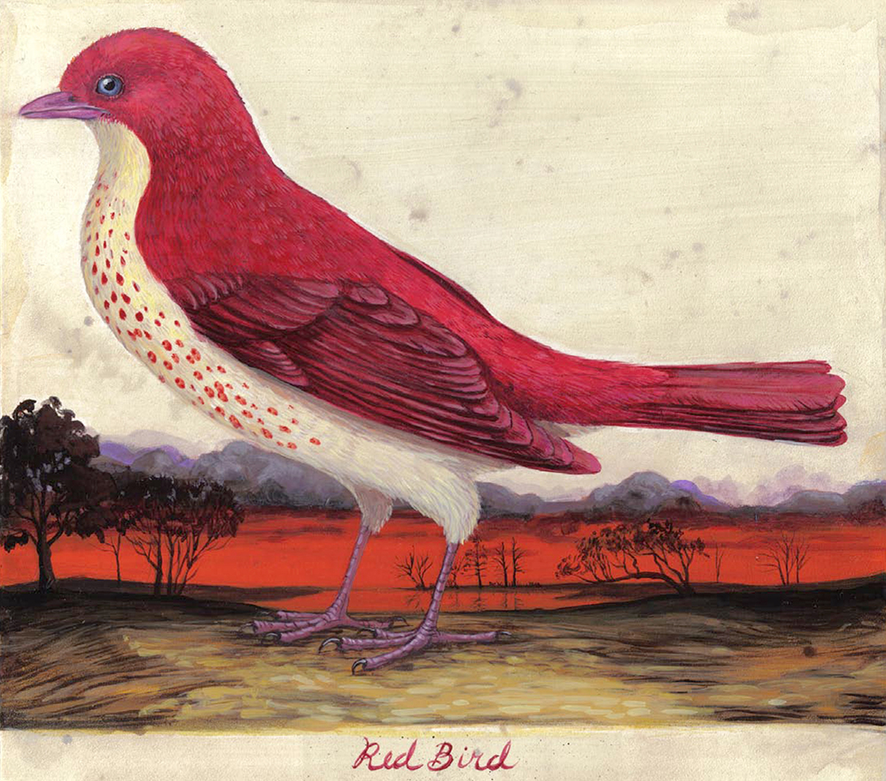 Fictional Bird Series - Andrew Leach Projects