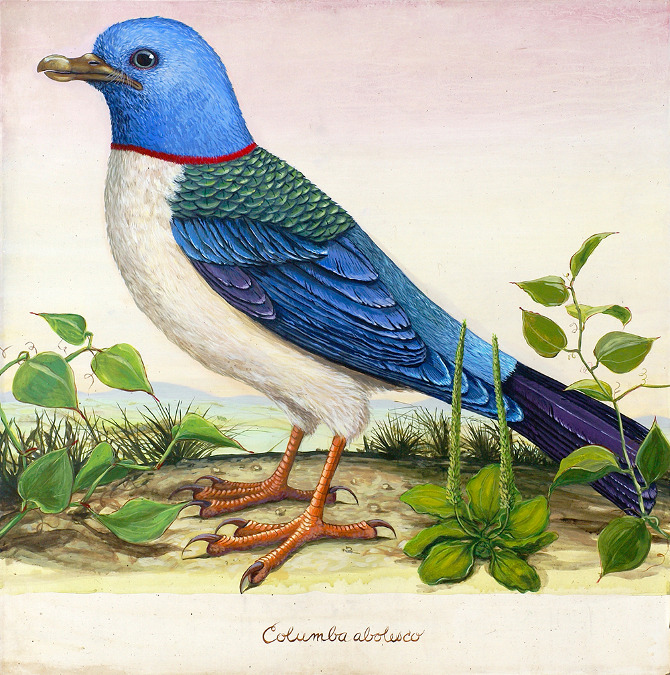 Fictional Bird Series - Andrew Leach Projects