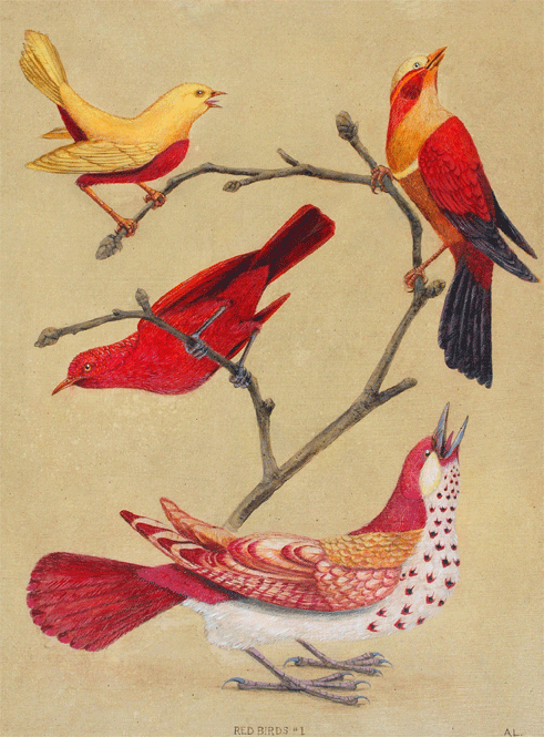 Fictional Bird Series - Andrew Leach Projects