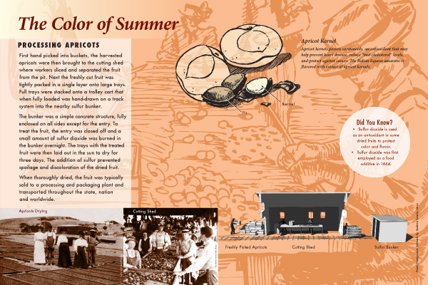 Andrew Leach Projects