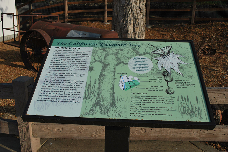 Andrew Leach Projects