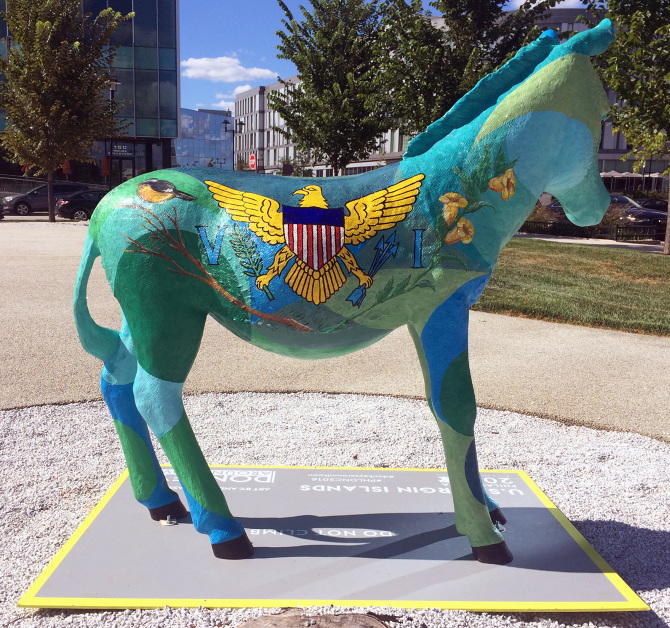 DNC: Donkeys Around Town - Andrea Grasso