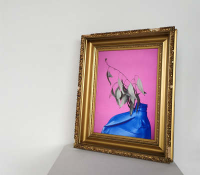 Brandon Forrest Frederick