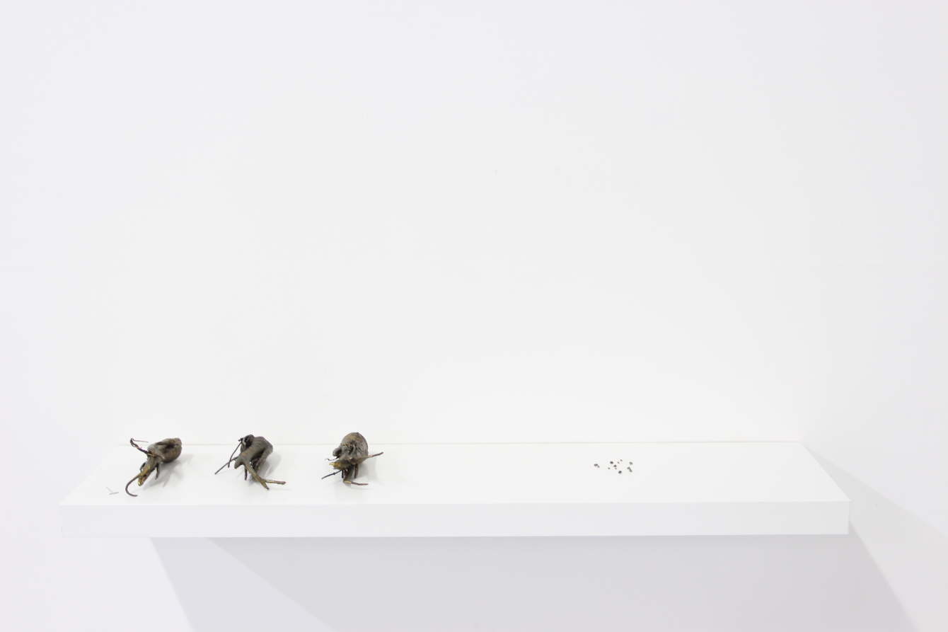 of last and first and midst and without end - www.MikeCalway-Fagen.com