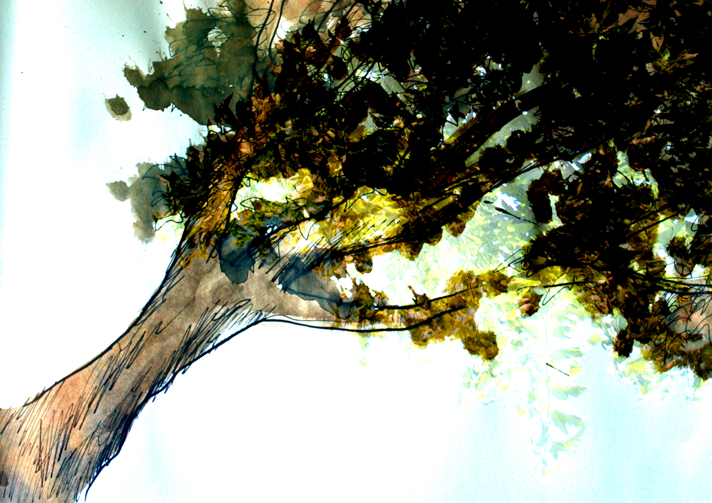 Tree Sampling - Carlos Meinedo