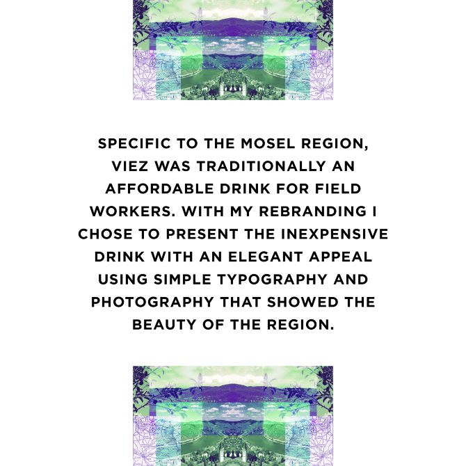 Viez Branding - Rachel Roth Graphics