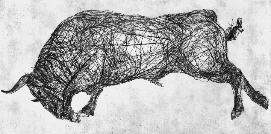 bull print1 - marcus@marcusjames.co.uk