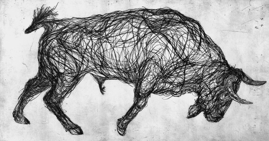 bull print1 - marcus@marcusjames.co.uk