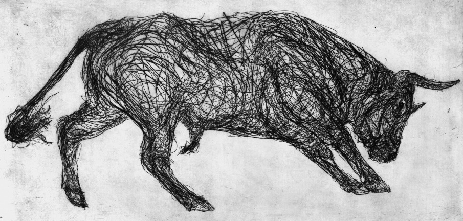 bull print1 - marcus@marcusjames.co.uk