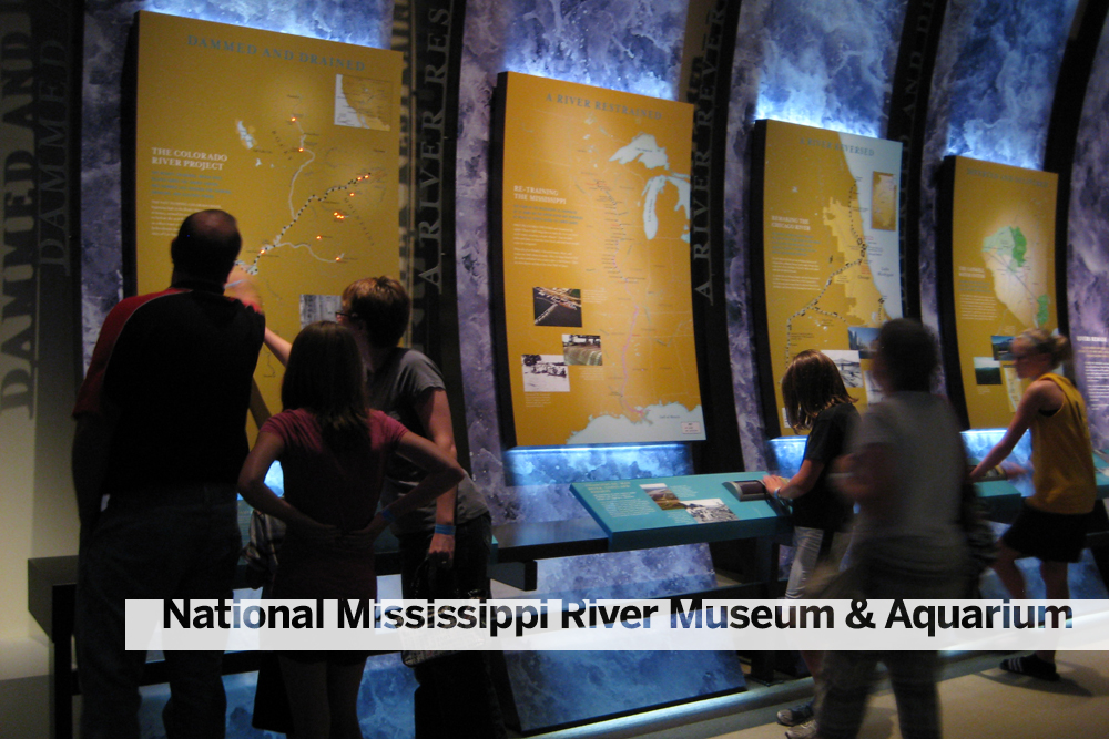 National Mississippi River Museum and Aquarium - The Musaic Design Group