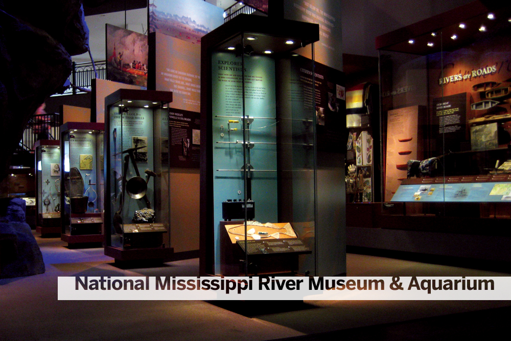 National Mississippi River Museum and Aquarium - The Musaic Design Group
