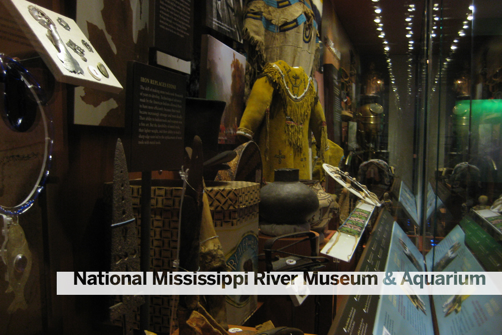 National Mississippi River Museum and Aquarium - The Musaic Design Group
