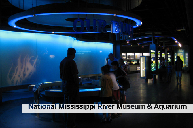 National Mississippi River Museum and Aquarium - The Musaic Design Group