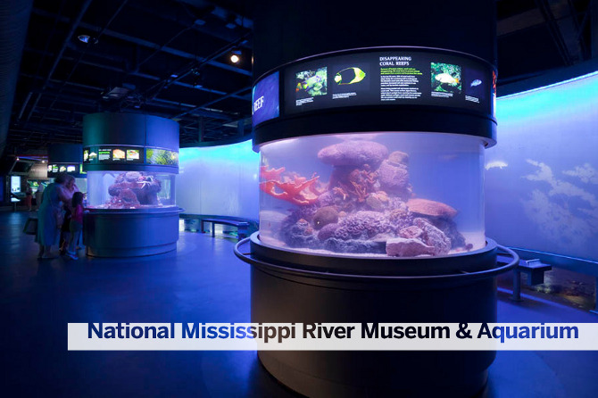 National Mississippi River Museum and Aquarium - The Musaic Design Group