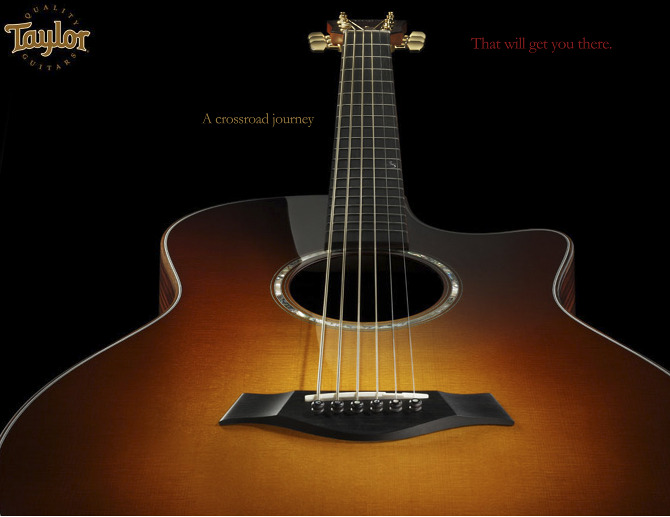Taylor Guitar - portfolio