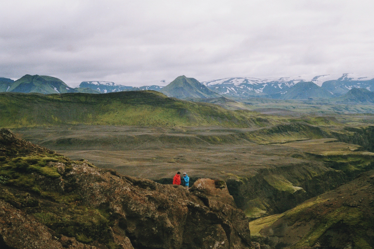 wild Iceland - nicola odemann